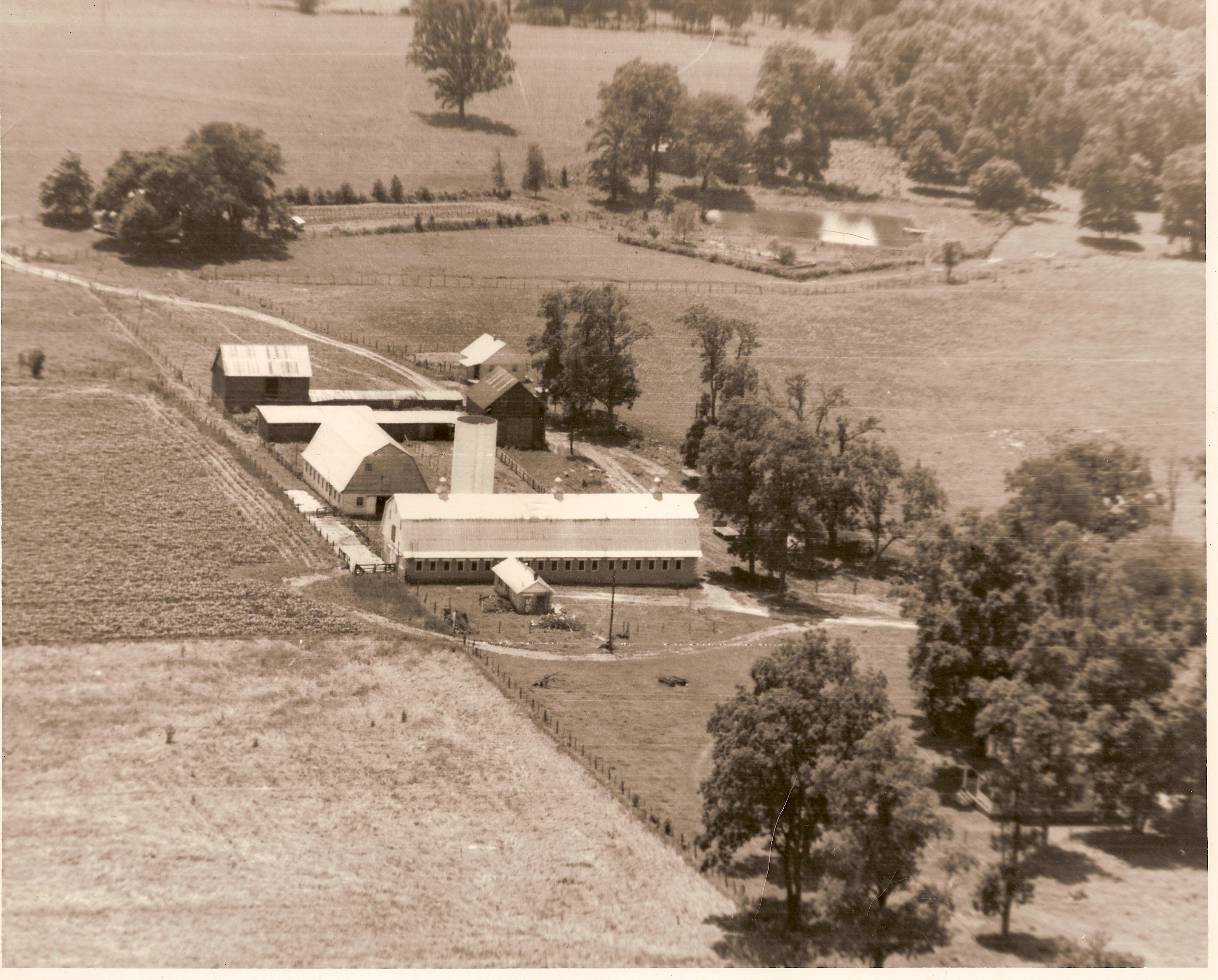 Farm # 91 | King Barn Dairy Mooseum